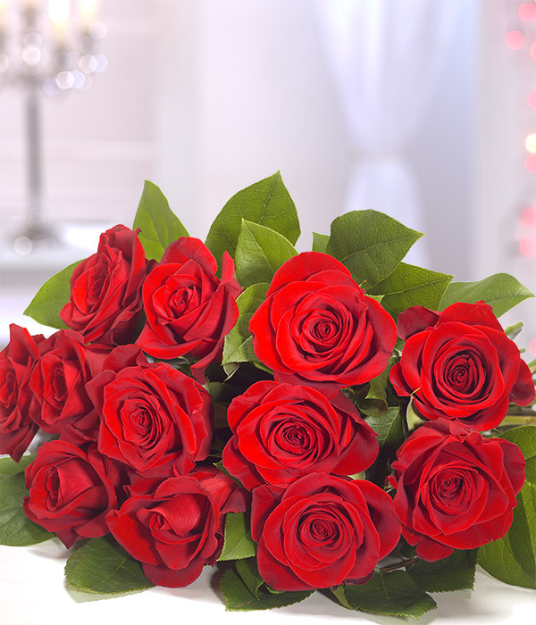 Unforgettable - 12 Red Roses - Send Valentines Day Flowers