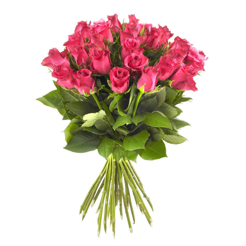 Skicka blommor med blosmterflickan, tjusiga rosa rosor.