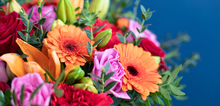 Redenen bloemen collecties | Euroflorist